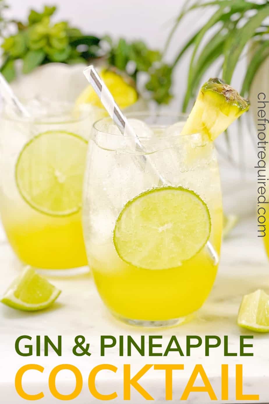 Gin and Pineapple Juice Cocktail · Chef Not Required...